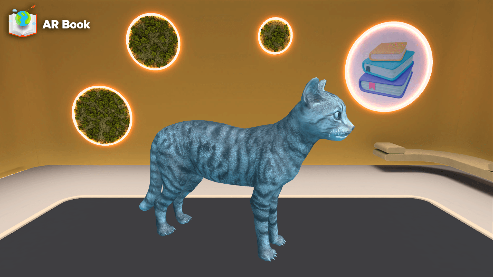 Cat AR/3D | Science | Grade 1