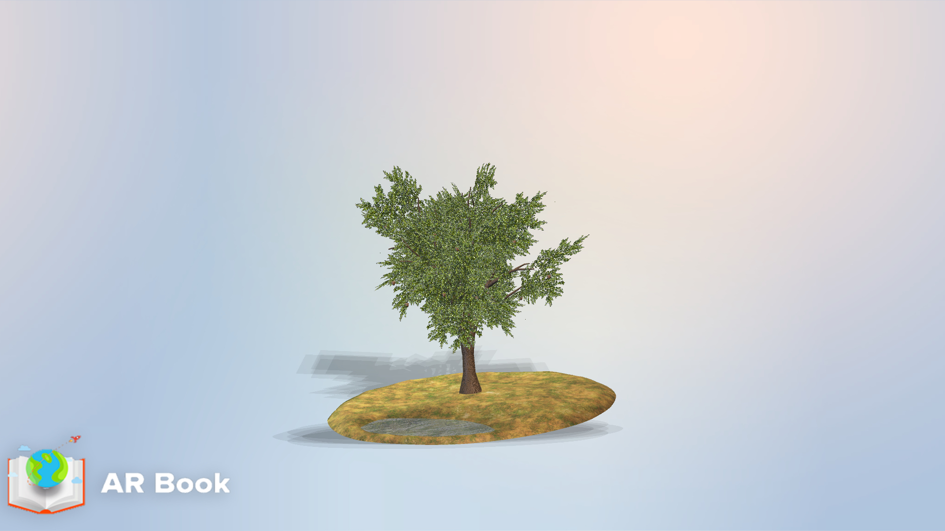 Phases of tree growth AR/3D | Science | Grade 5